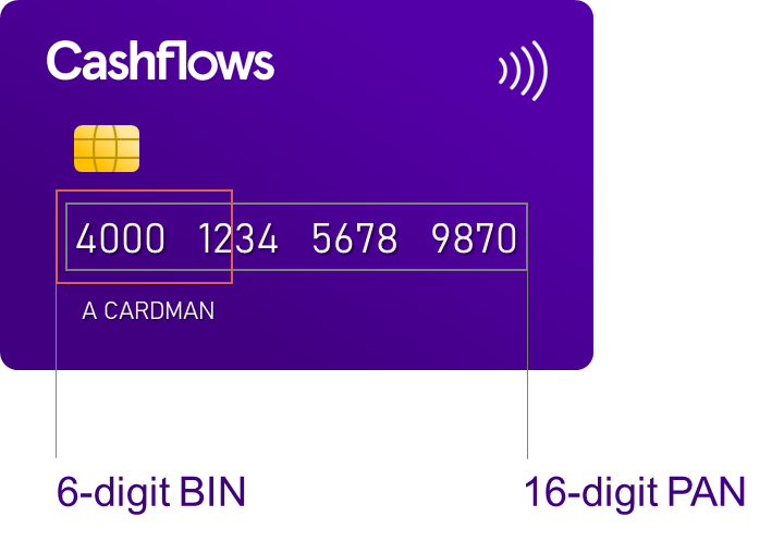 What is 8-digit BIN?